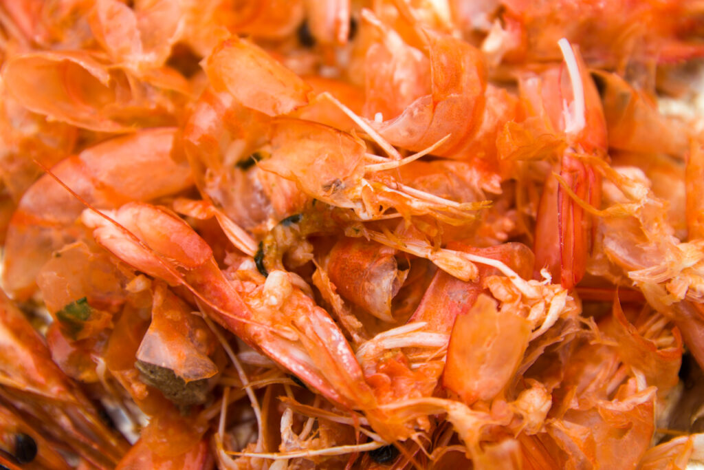 Can You Compost Shrimp Shells? (If Yes, How to Do It?)